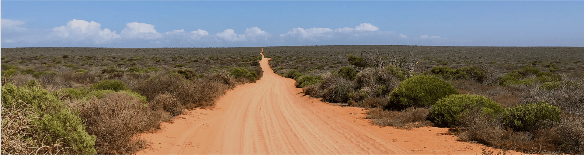 TyreLife | Dynamic Steel Wheels GENUINE BEADLOCK ,BEADLOCK IMITATION ...